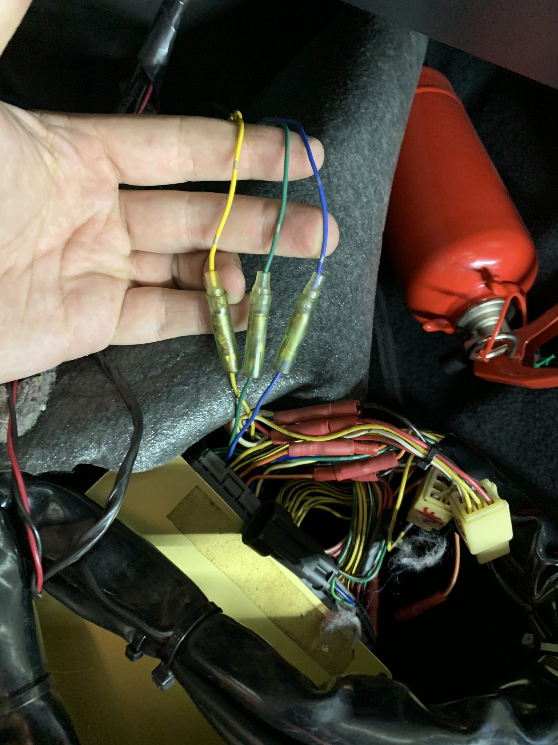 The Iconic Godzilla, ver.2 | Emtron Europe